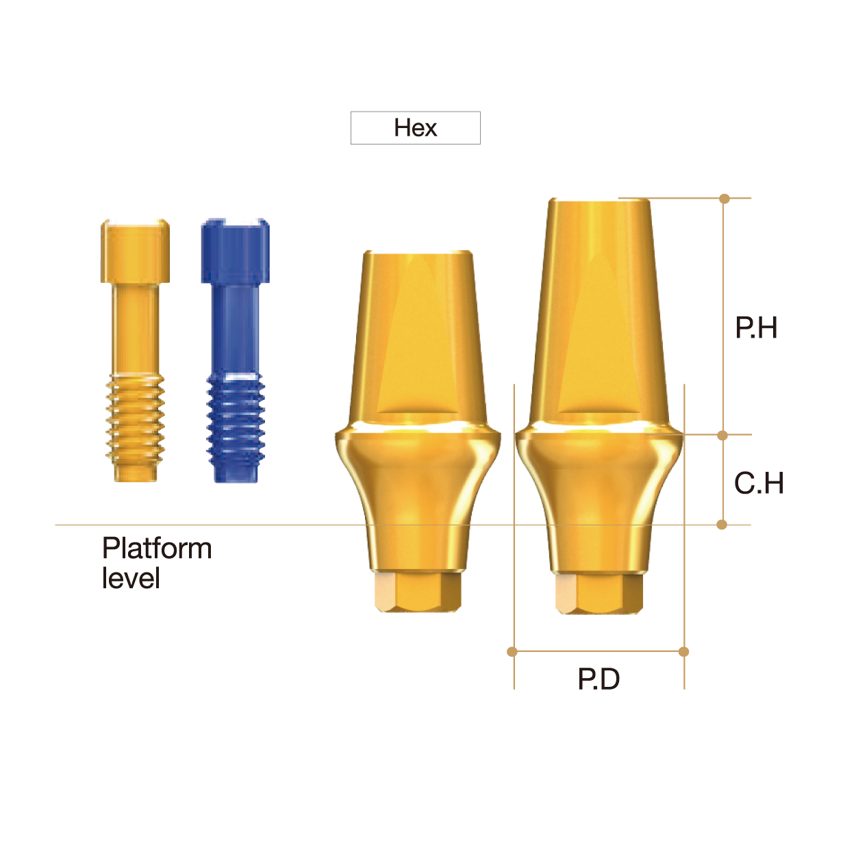 MEGAGEN / EZ Post Abutment [AR] φ5/ C.H=2/ P.H=7